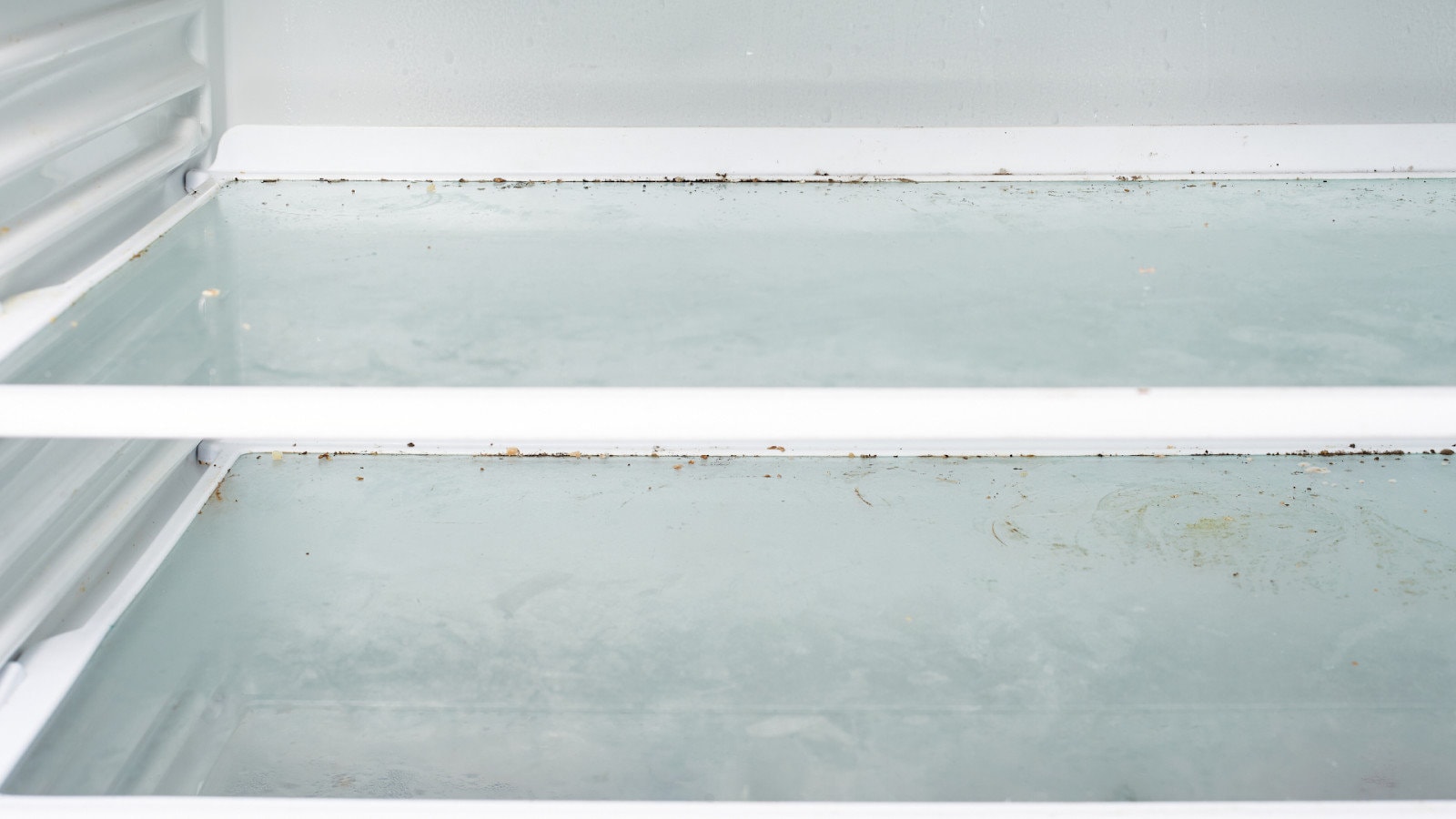 How To Clean Mold off Outdoor Refrigerator 2025