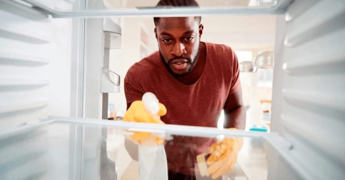 How To Clean Mold off Outdoor Refrigerator 2025